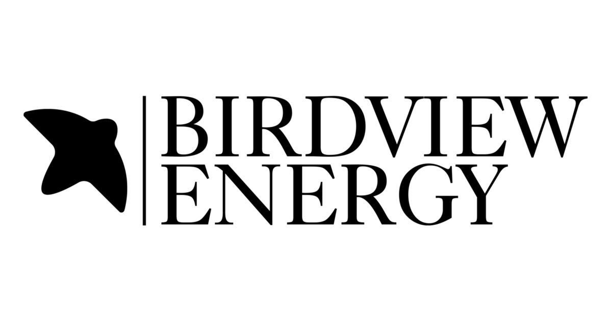 Birdview Energy — BESS Revenue & Grid Risk Platform